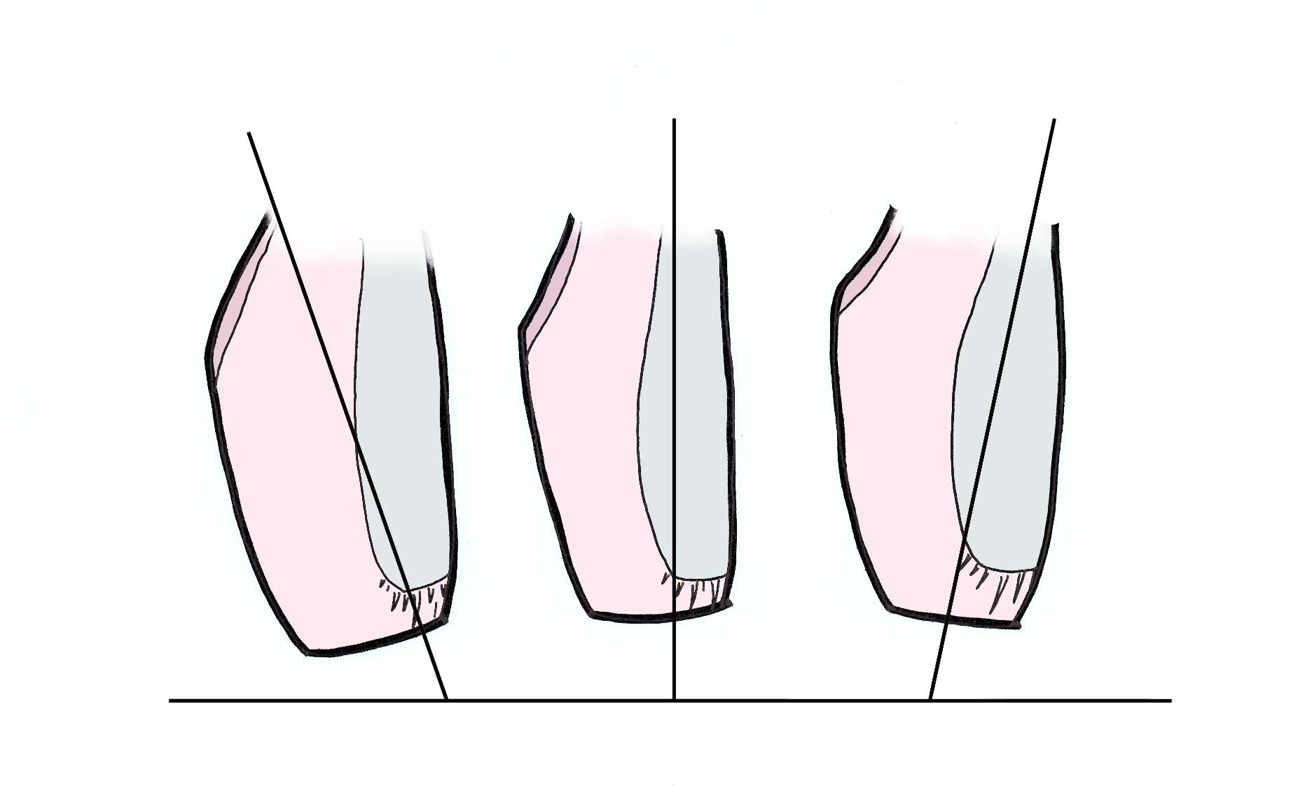 Pointe Shoe Project | Lina's Portfolio