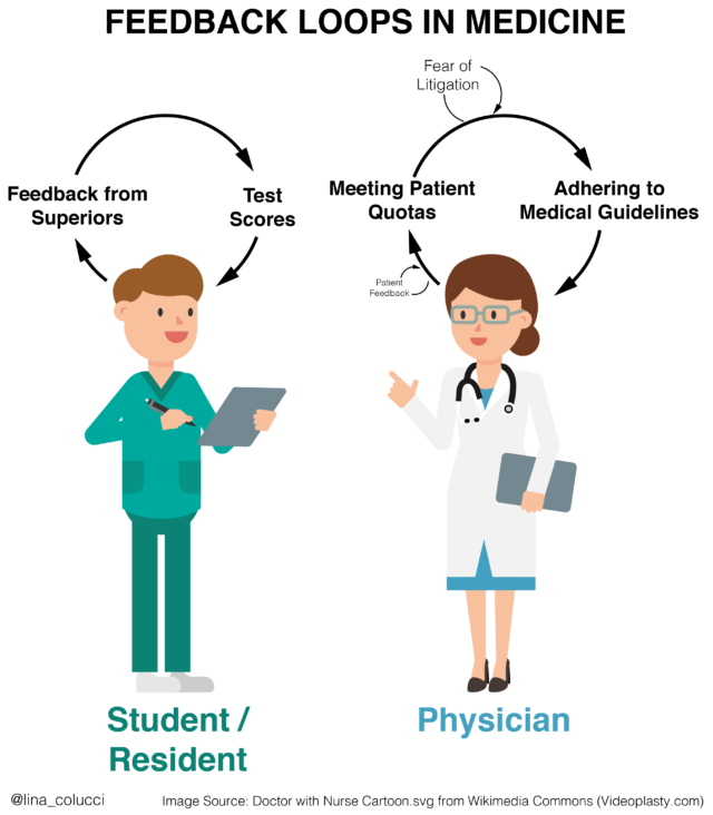 The Key Feedback Loop That’s Missing in Medicine | Lina's Portfolio